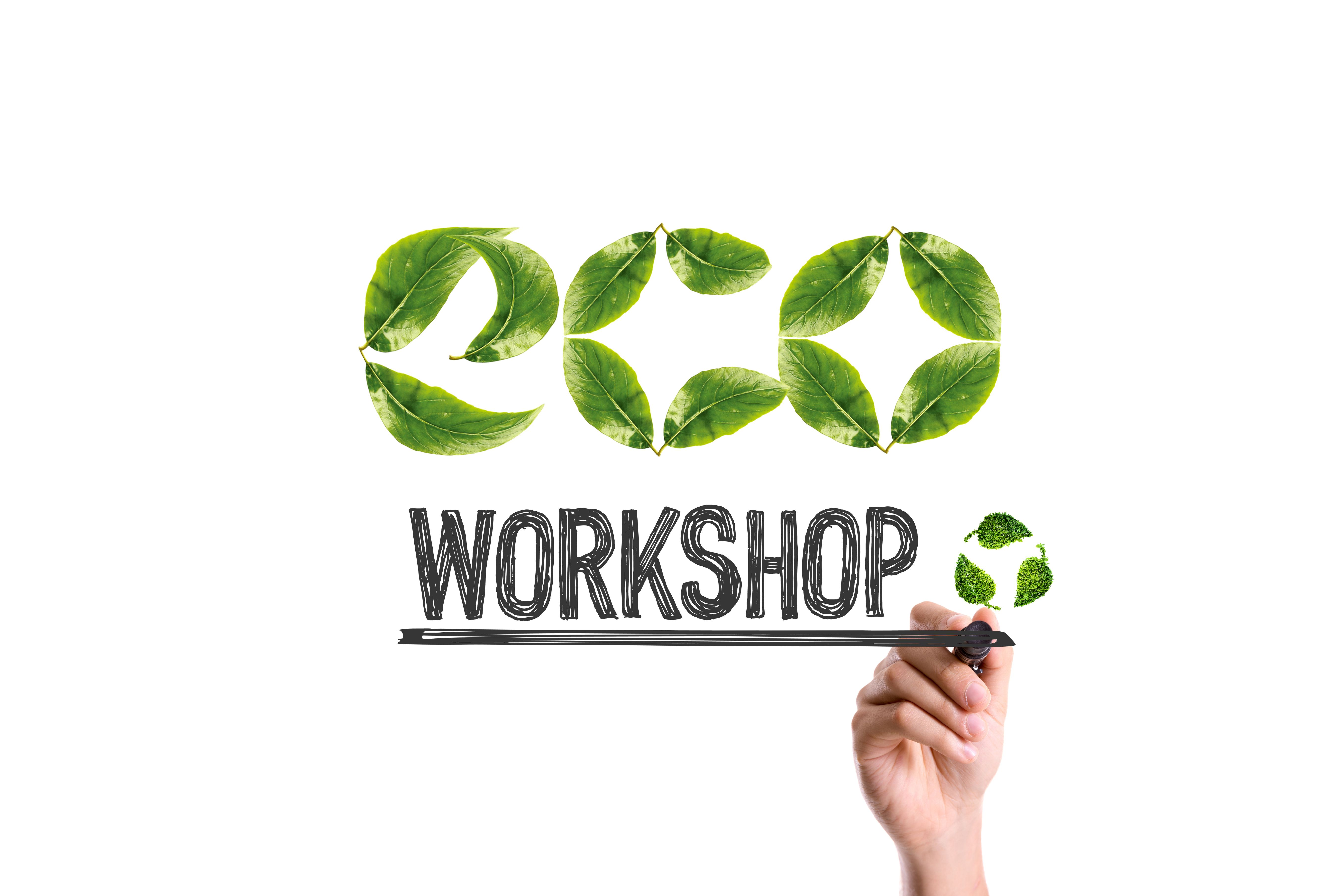 Eco Workshops – Ecobee